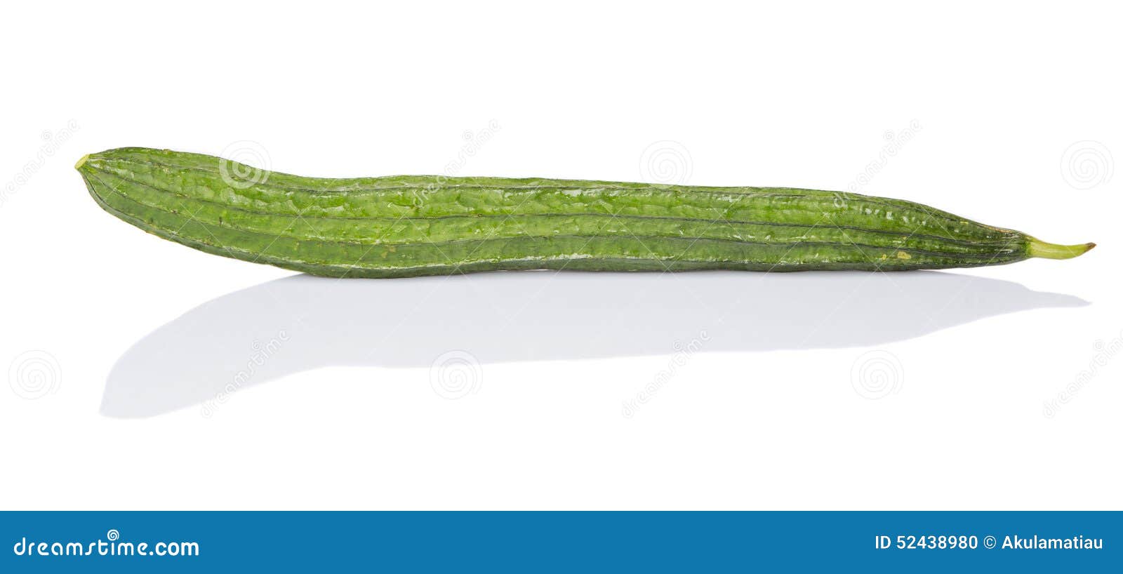 Snake Gourd Vegetable V stock photo. Image of gourd, ingredient - 52438980
