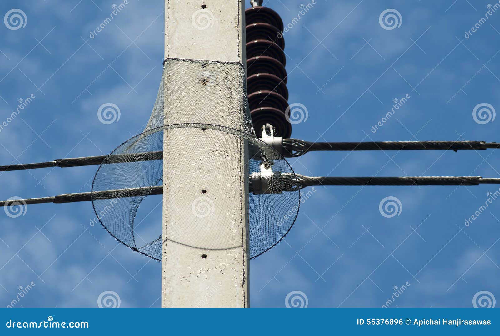 Snake Guard with Electric Post Stock Photo - Image of guard ...