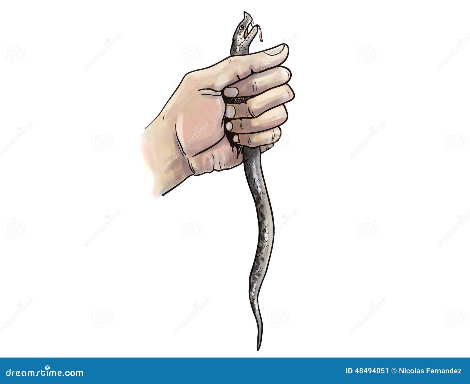 Snake Handling Royalty-Free Cartoon | CartoonDealer.com #48494051