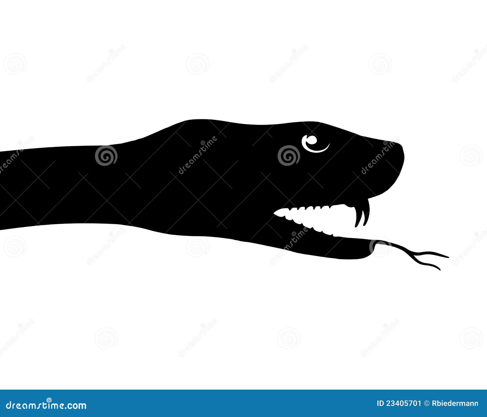 Snake head stock vector. Illustration of bite, tooth - 23405701