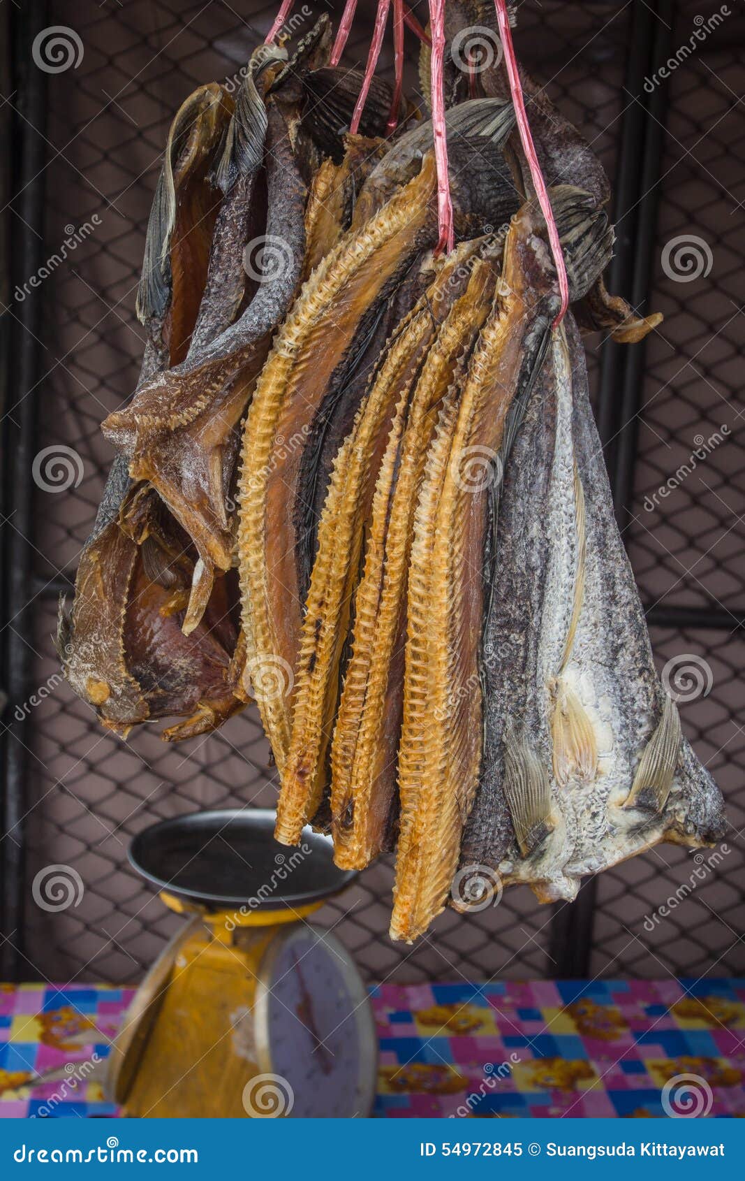 Snake-head dried fish stock image. Image of association - 54972845