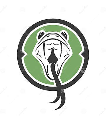 Snake head illustration stock vector. Illustration of cartoon - 290274759