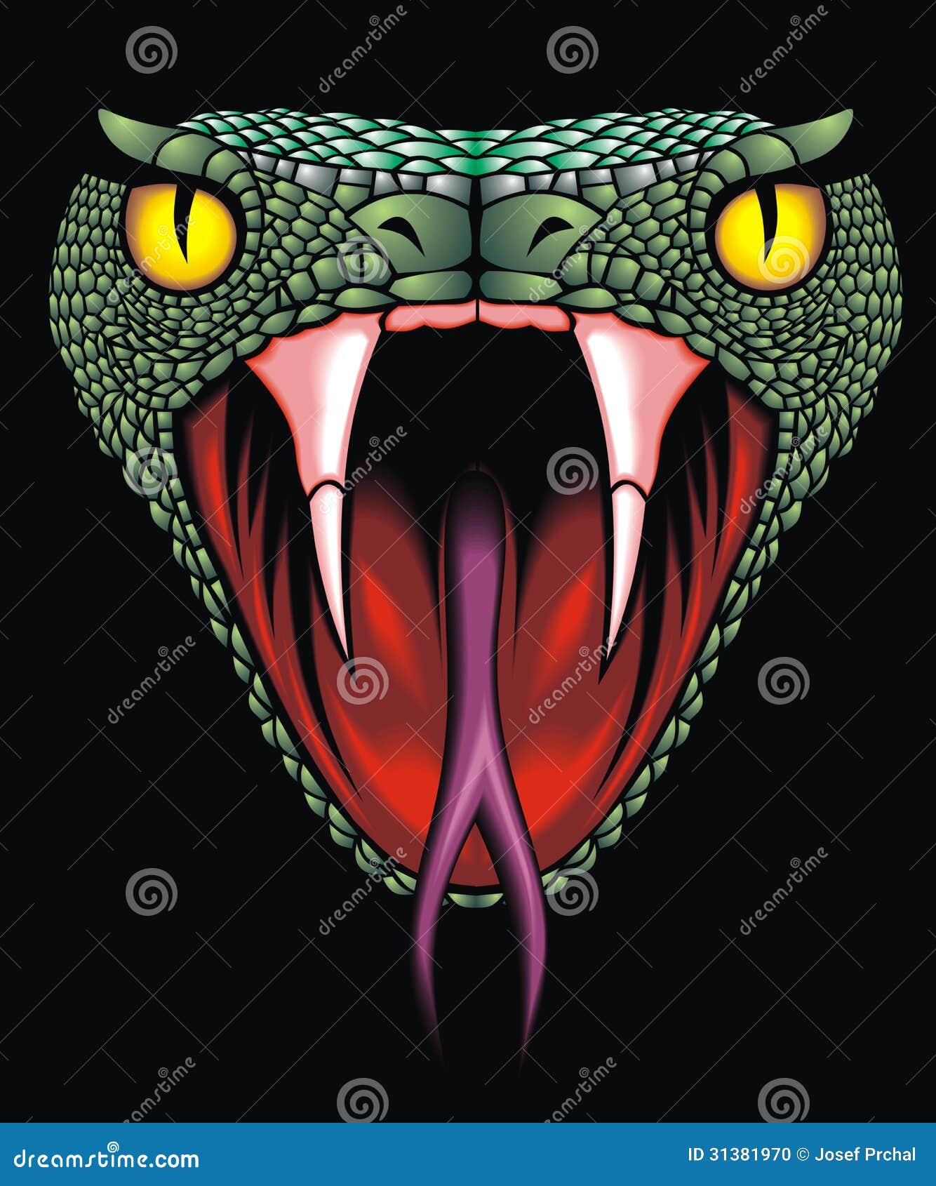 Viper Snake Head Drawings