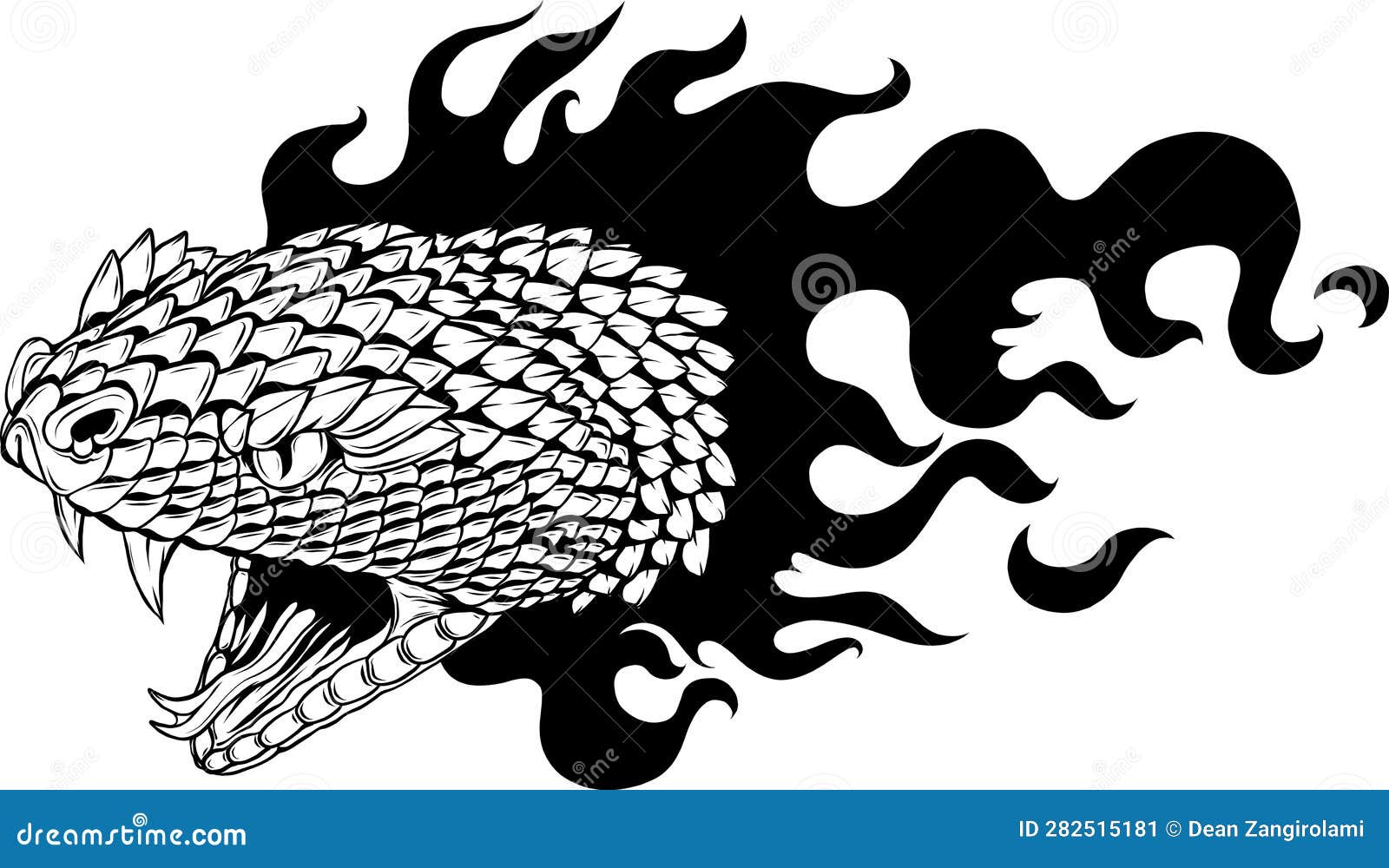 Snake Head Outline in Black and White Stock Vector - Illustration of ...