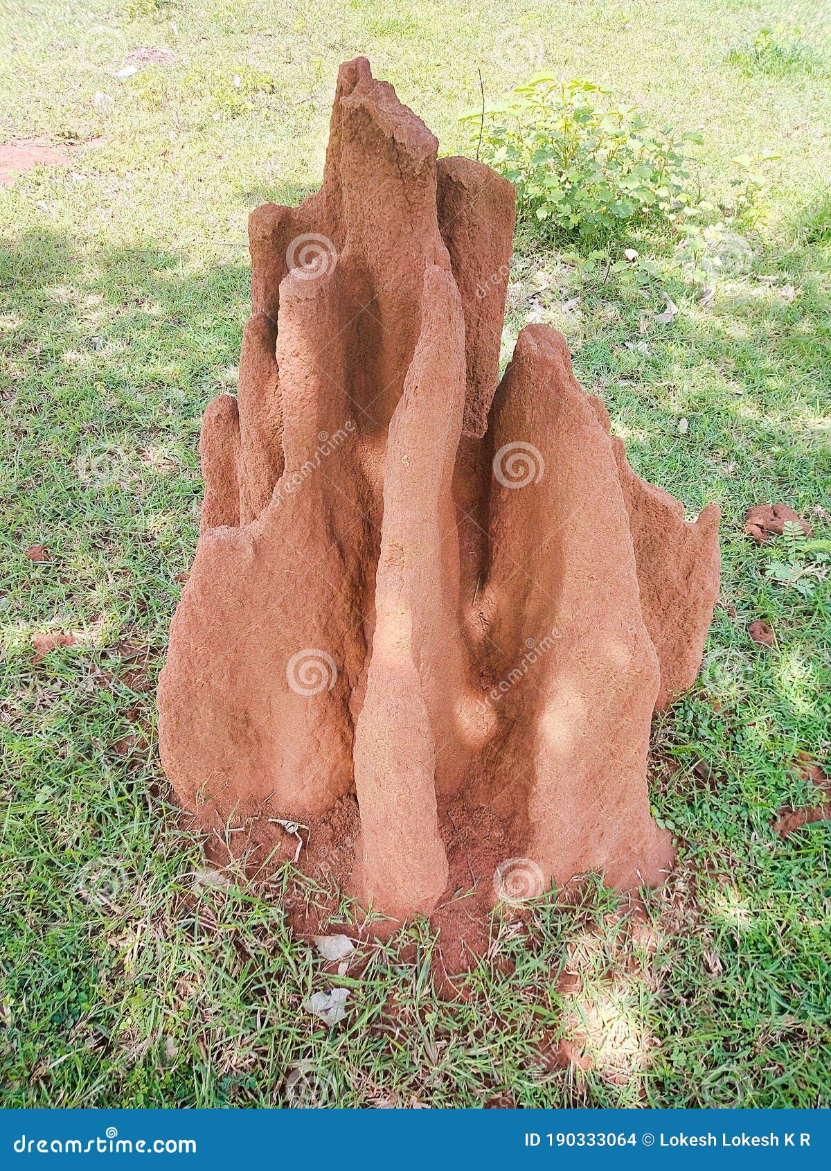 Snake house stock photo. Image of flower, tree, monument - 190333064