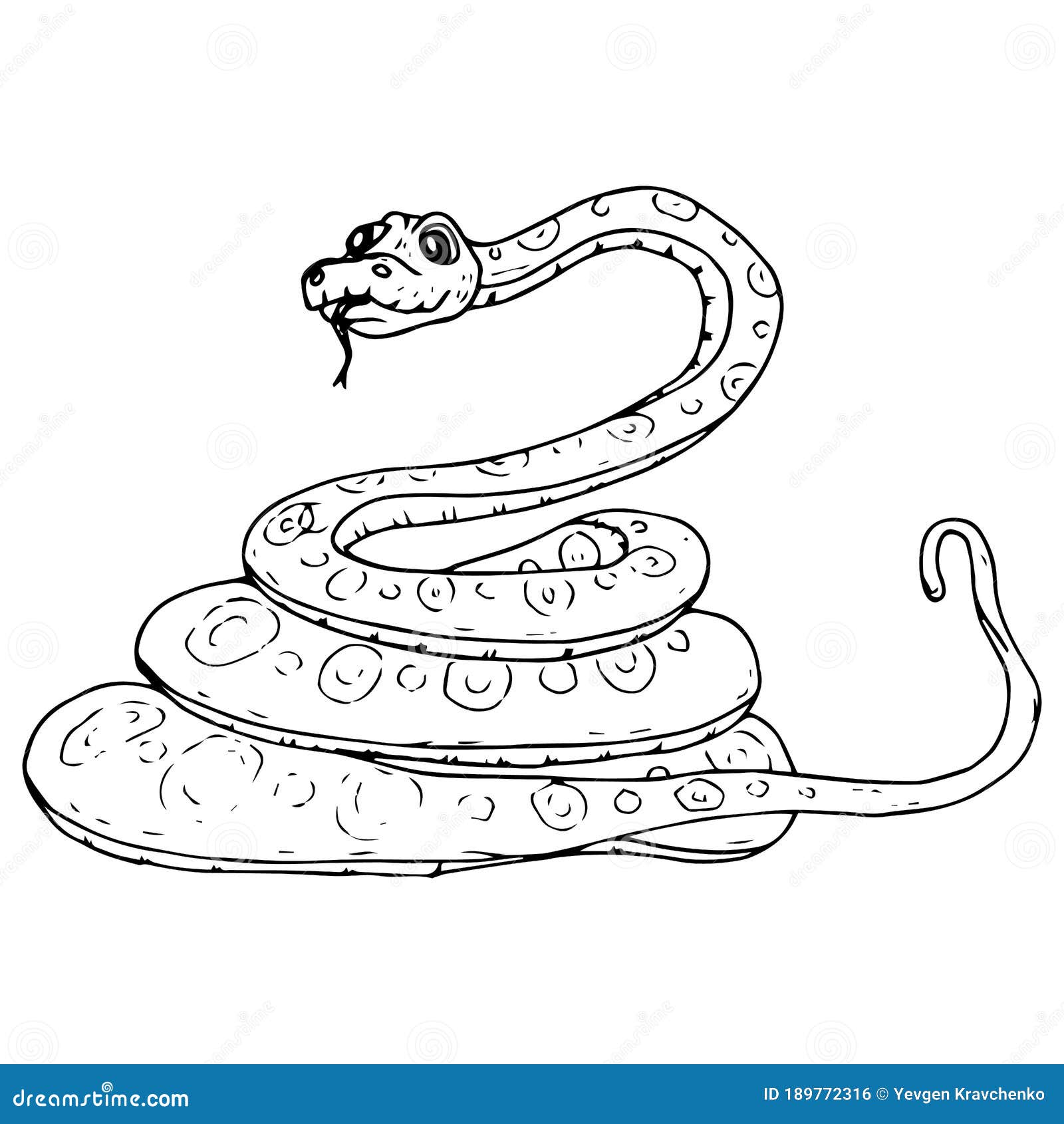 Cute Curled Up Green Snake Isolated On White Background. Vector Cartoon ...