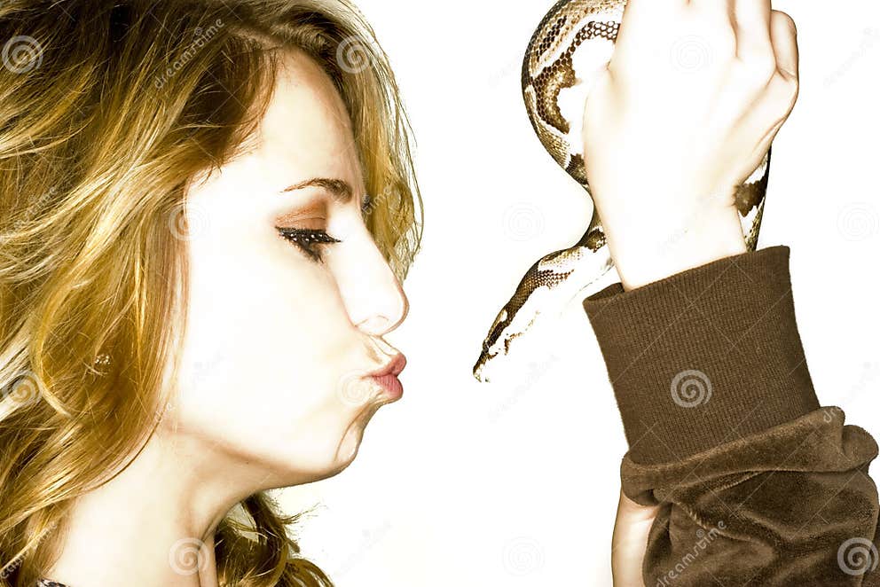 Snake Kiss stock image. Image of affection, love, serpent - 5474479