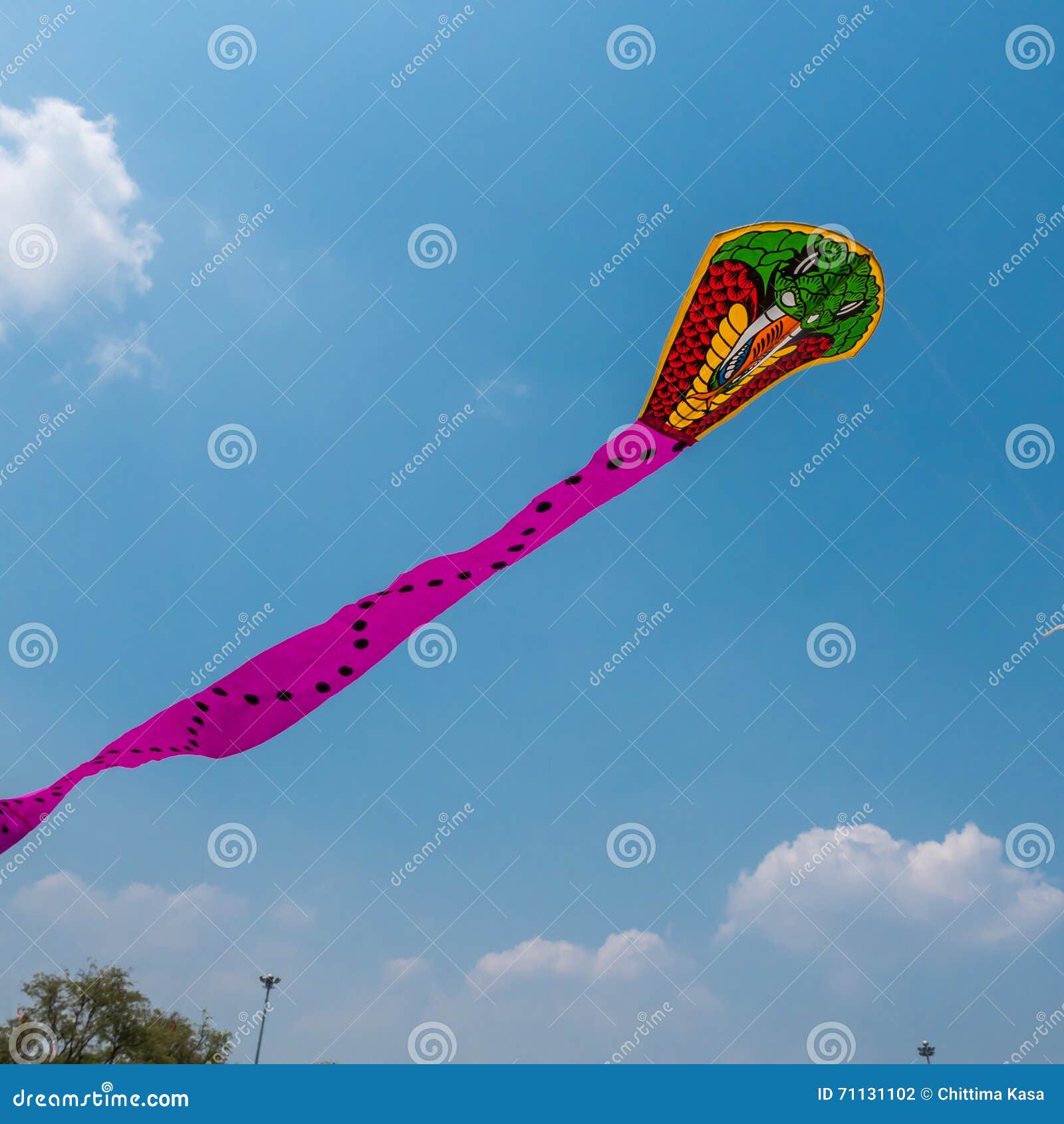 Snake kites stock photo. Image of activity, summer, leisure - 71131102