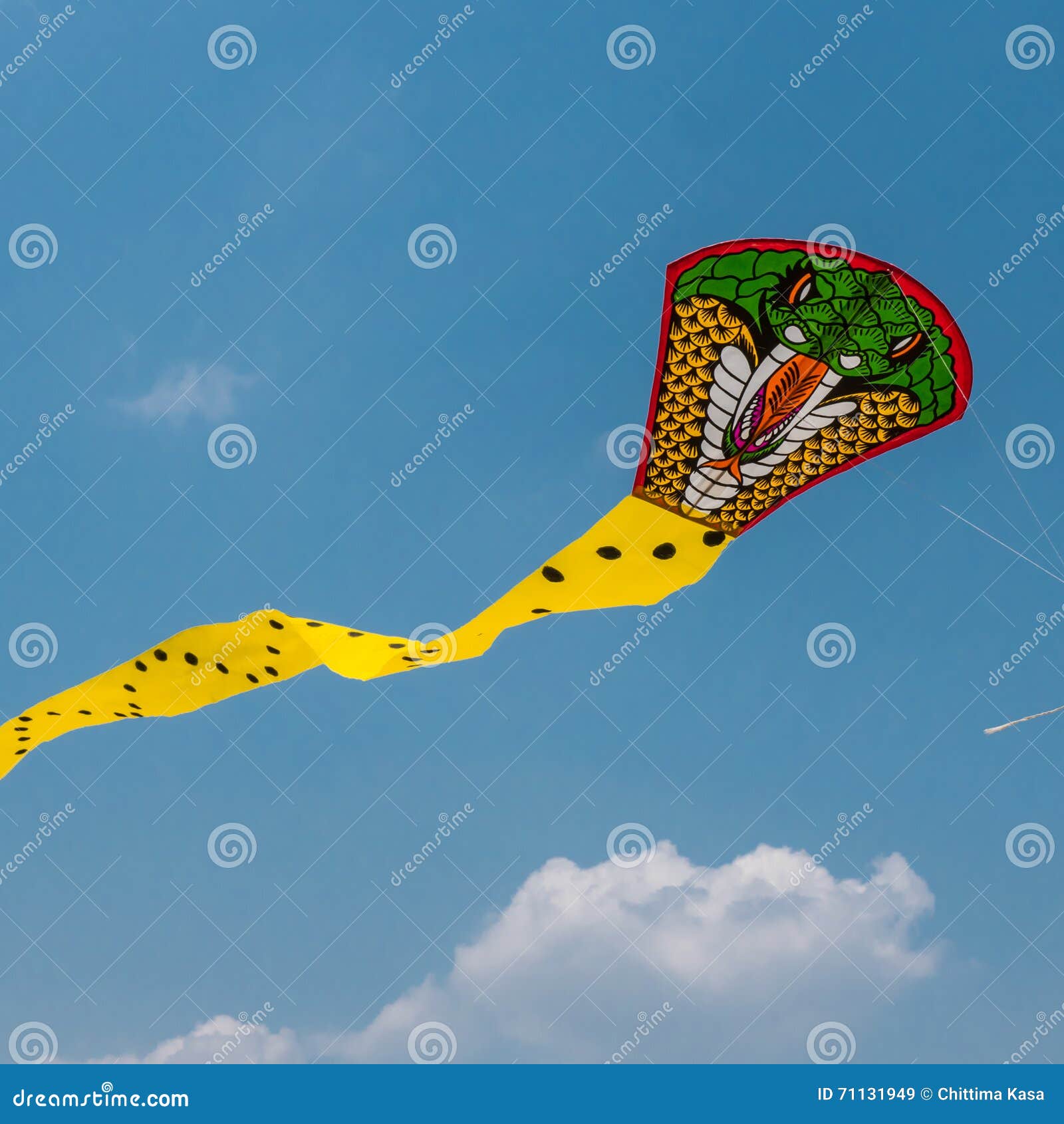 Snake kites stock image. Image of season, outdoor, activity - 71131949