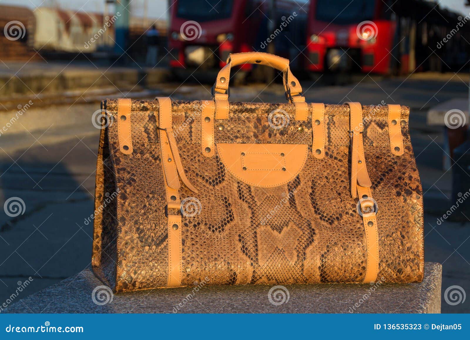Snake leather bag stock image. Image of elegant, casual - 136535323