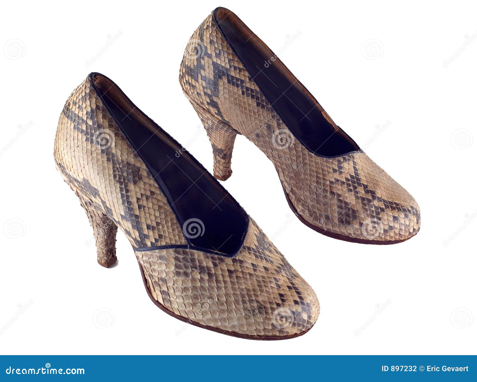Snake leather shoes stock photo. Image of isolated, feline - 897232