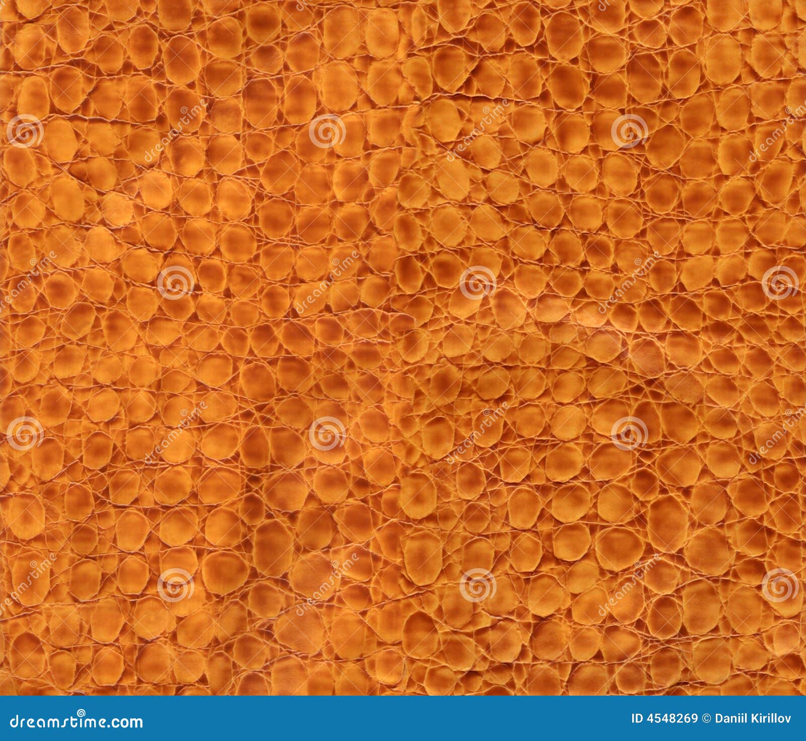 Snake leather texture stock image. Image of fashion, leather - 4548269