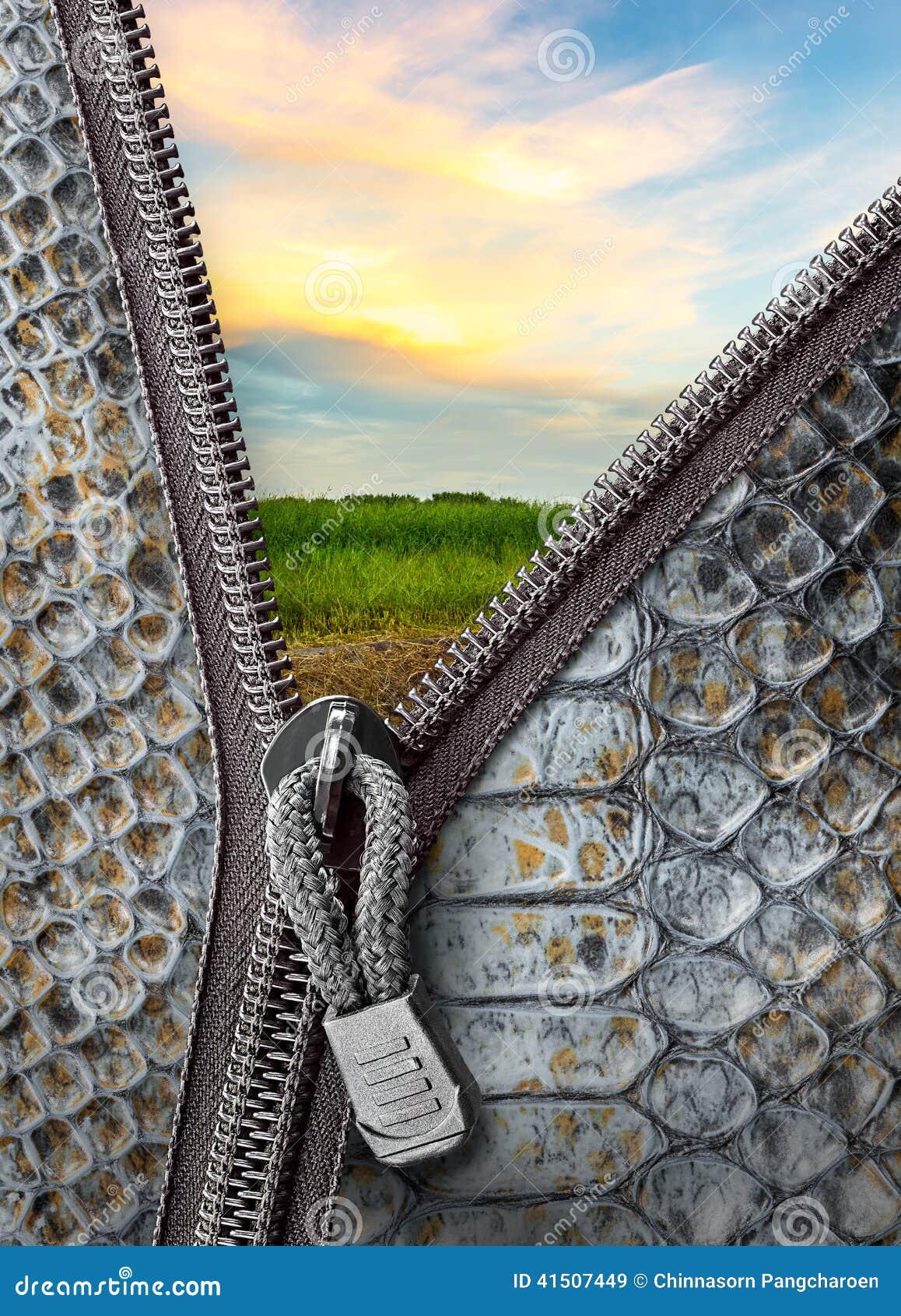 Snake leather with zipper stock image. Image of natural - 41507449