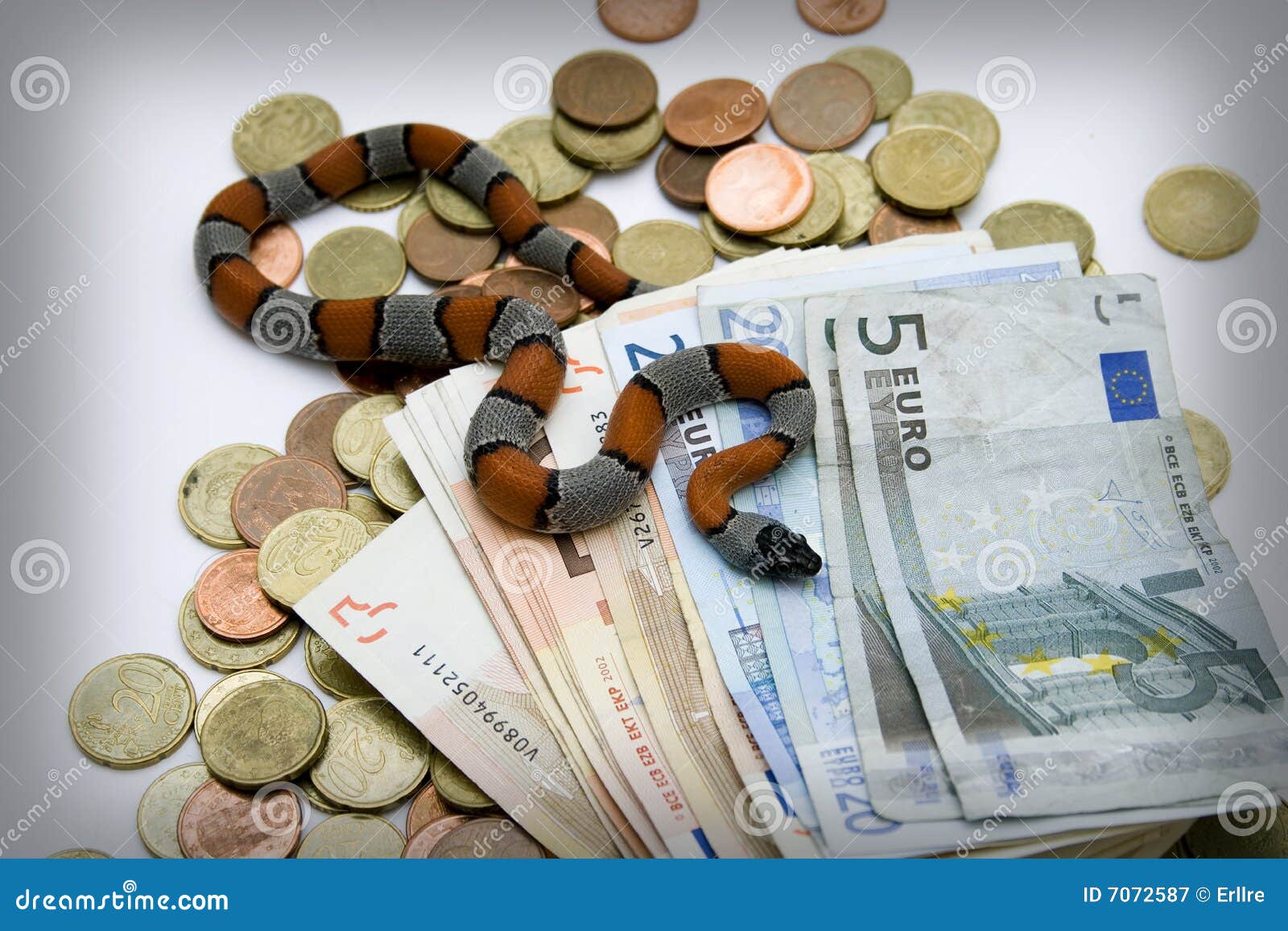 Snake and money stock image. Image of indigent, europe - 7072587