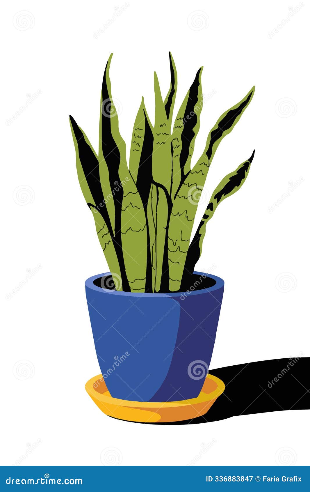 Snake Plant Vector Illustration Stock Illustration - Illustration of ...