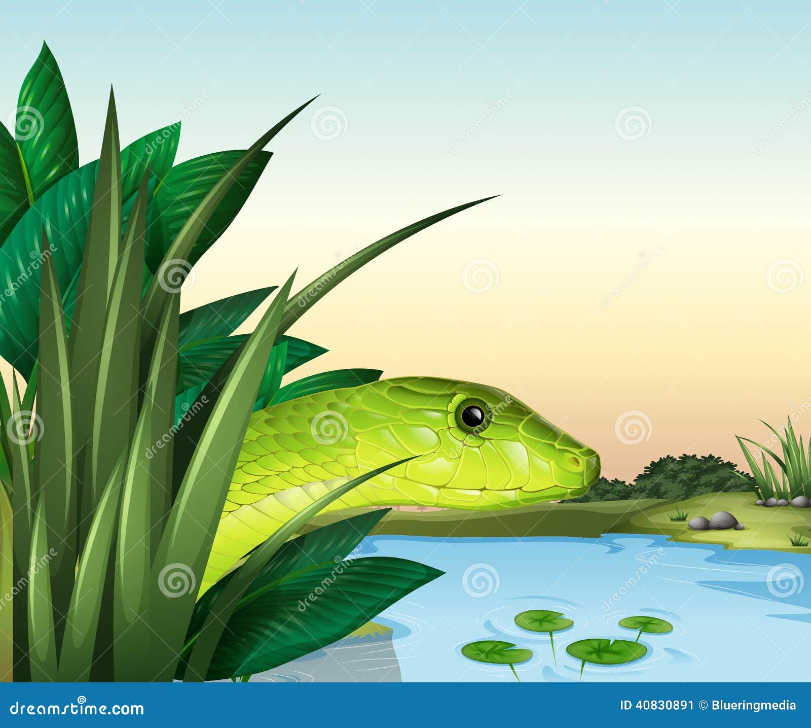 A snake at the pond stock illustration. Illustration of green - 40830891