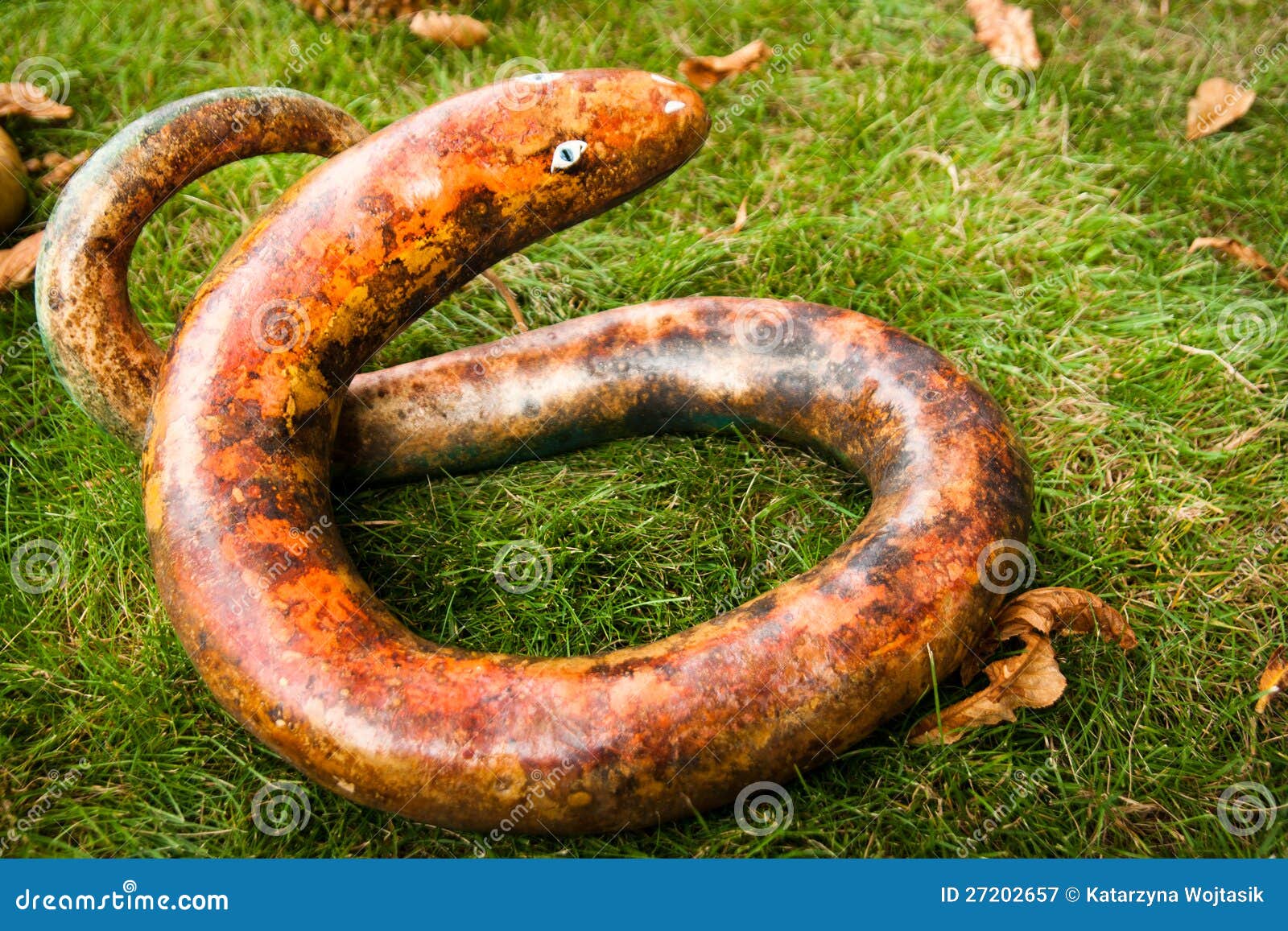 Snake of pumpkin stock image. Image of agriculture, decoration - 27202657
