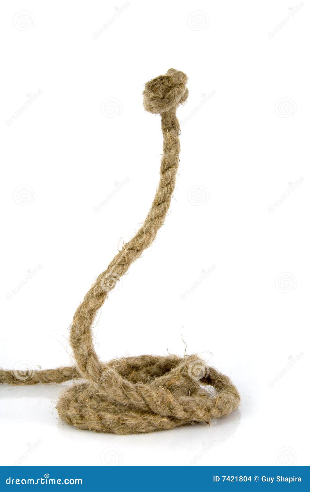 403 Snake Rope Stock Photos - Free & Royalty-Free Stock Photos from ...