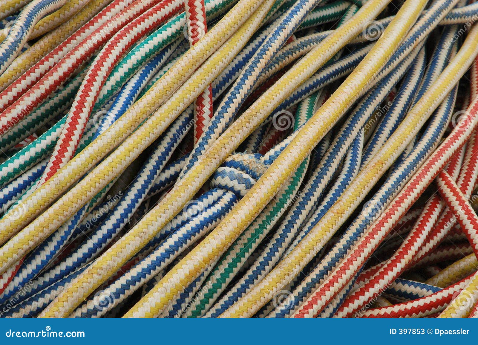 Snake Ropes Picture. Image: 397853