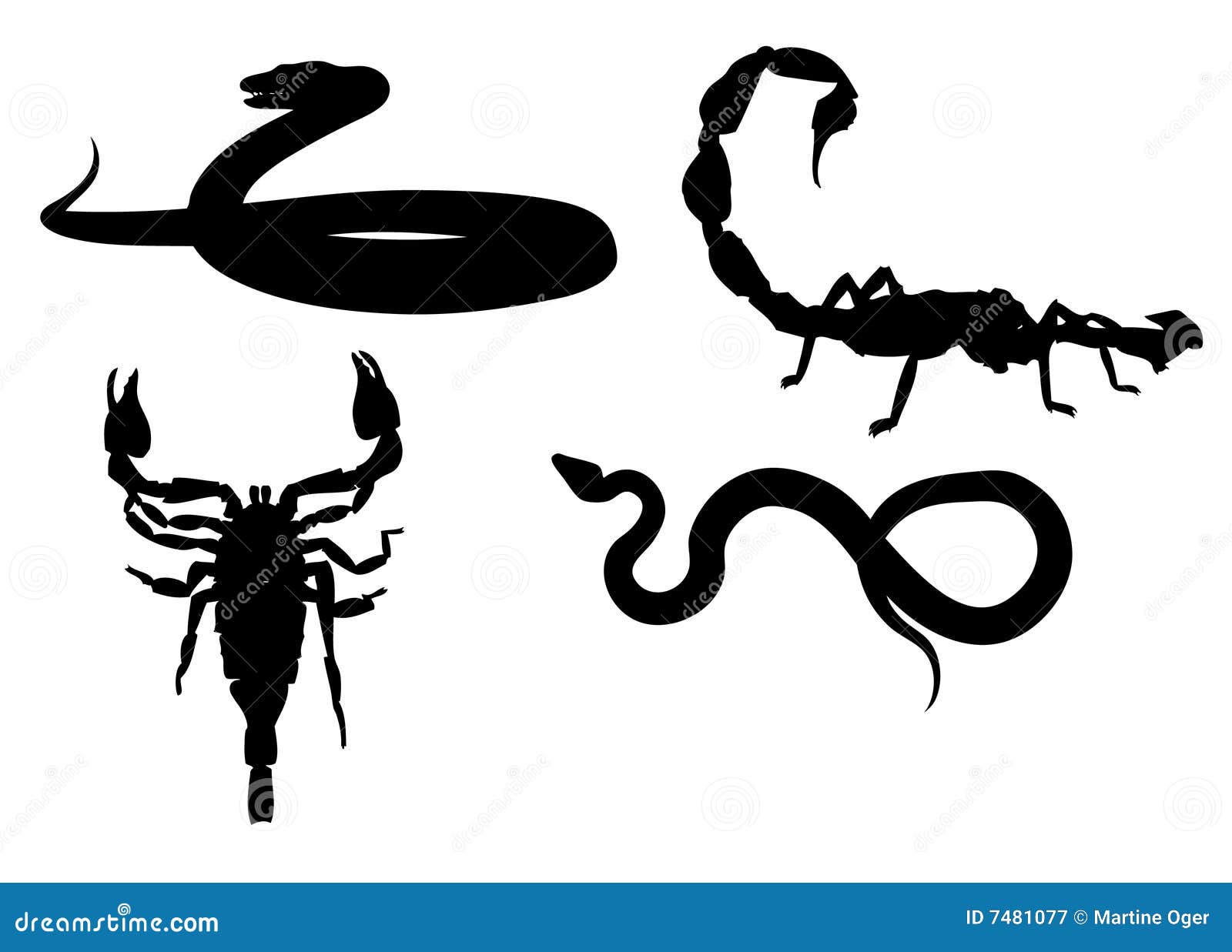 Snake and scorpio. stock vector. Illustration of graphic - 7481077
