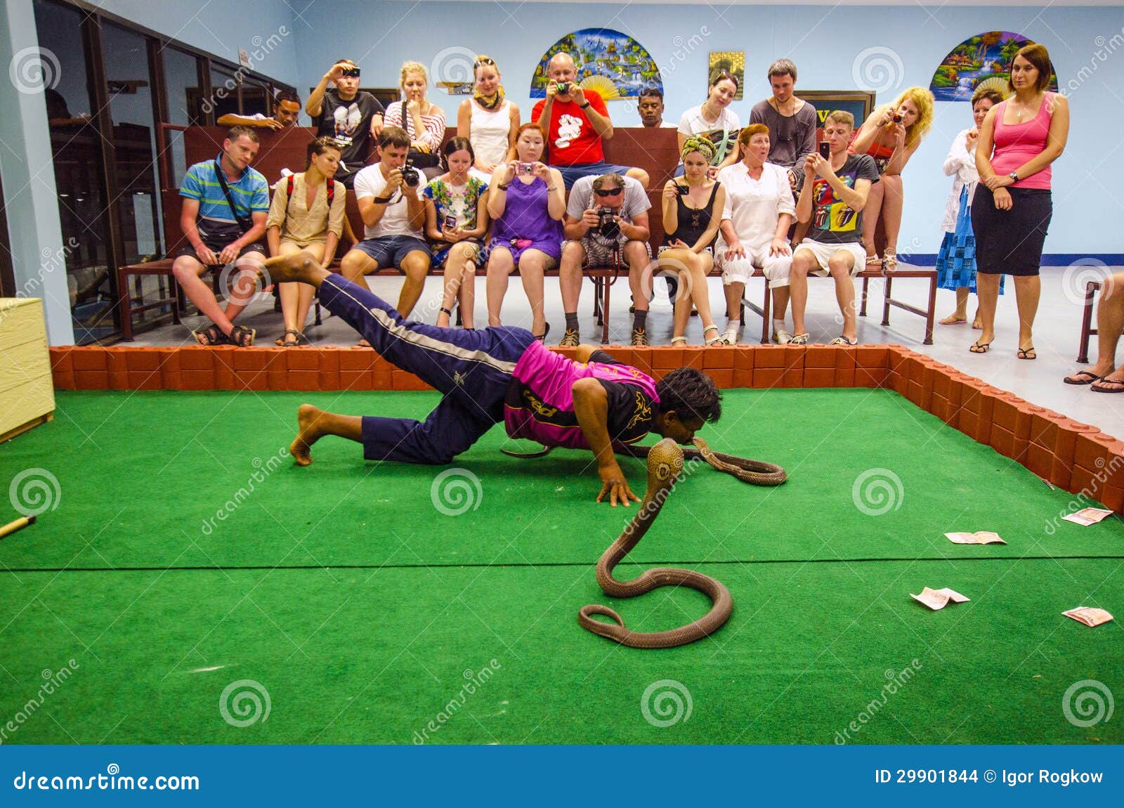 Snake show editorial stock image. Image of exhibition - 29901844
