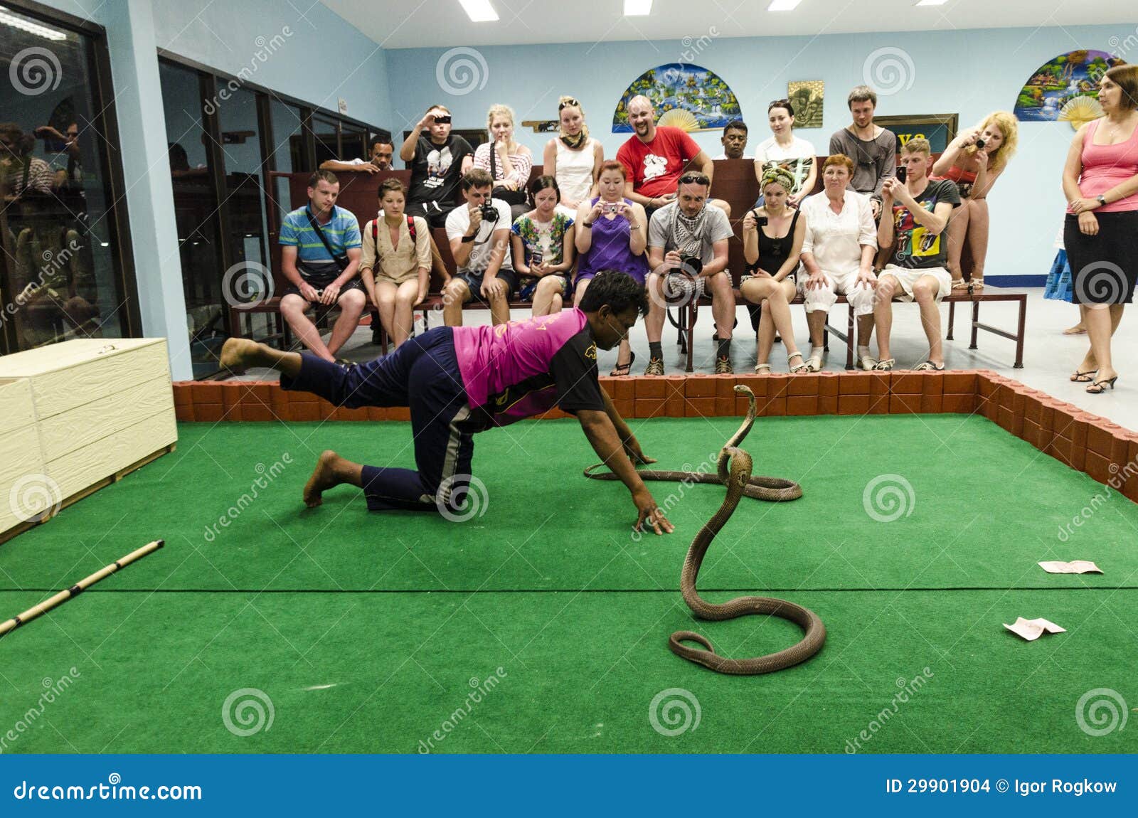 Snake show editorial stock image. Image of captivity - 29901904
