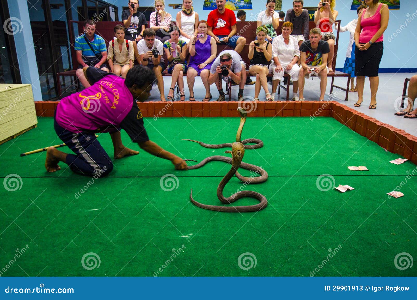 Snake show editorial stock photo. Image of dancing, entertainment ...