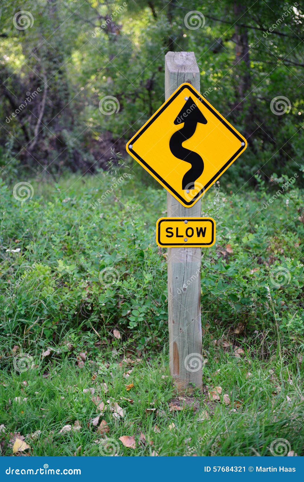 Snake sign stock image. Image of outdoors, arrow, vegetation - 57684321
