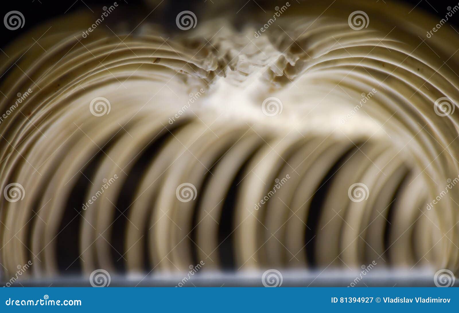Snake Skeleton Ribs in Perspective, Shallow Depth of Field Stock Image ...
