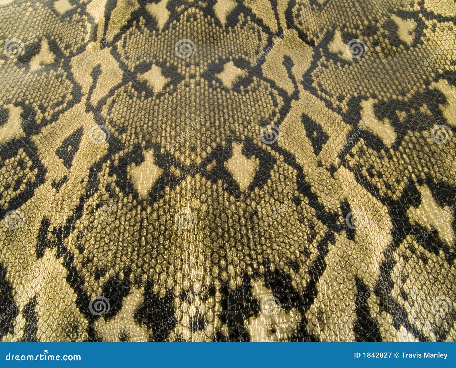 Snake skin stock image. Image of hide, skin, reptile, pattern - 1842827