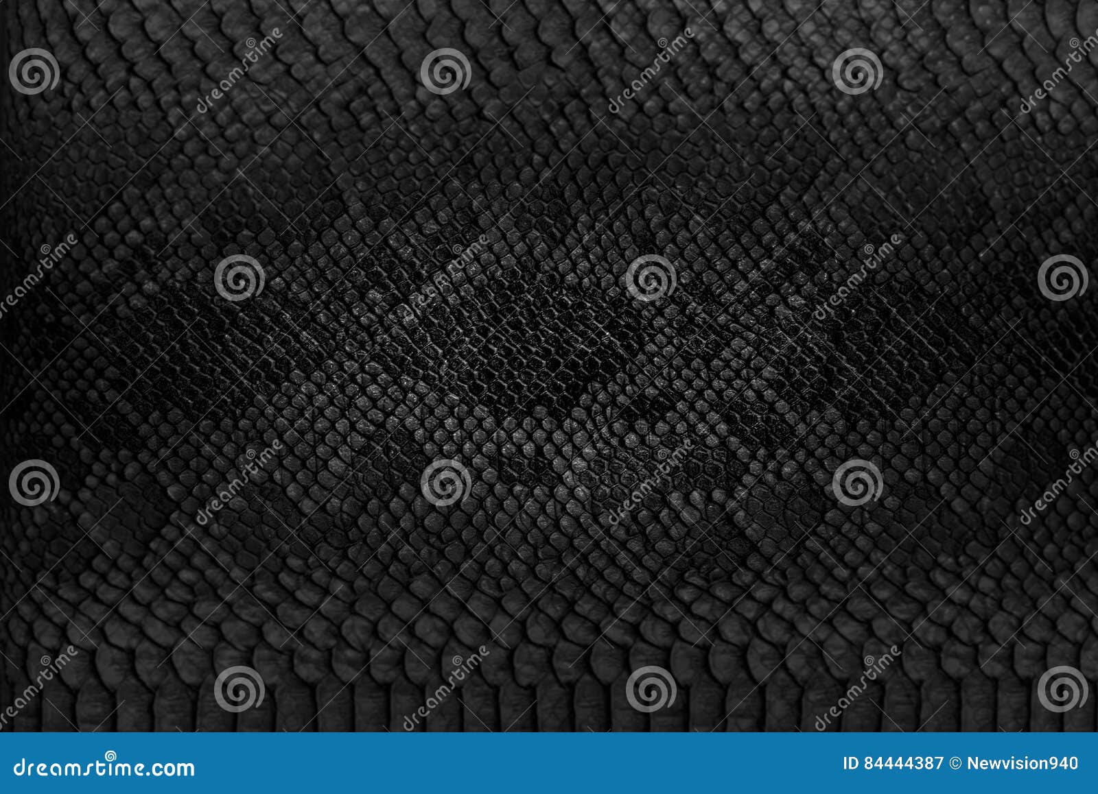 Black Snake Skin Texture For Background Royalty-Free Stock Image ...
