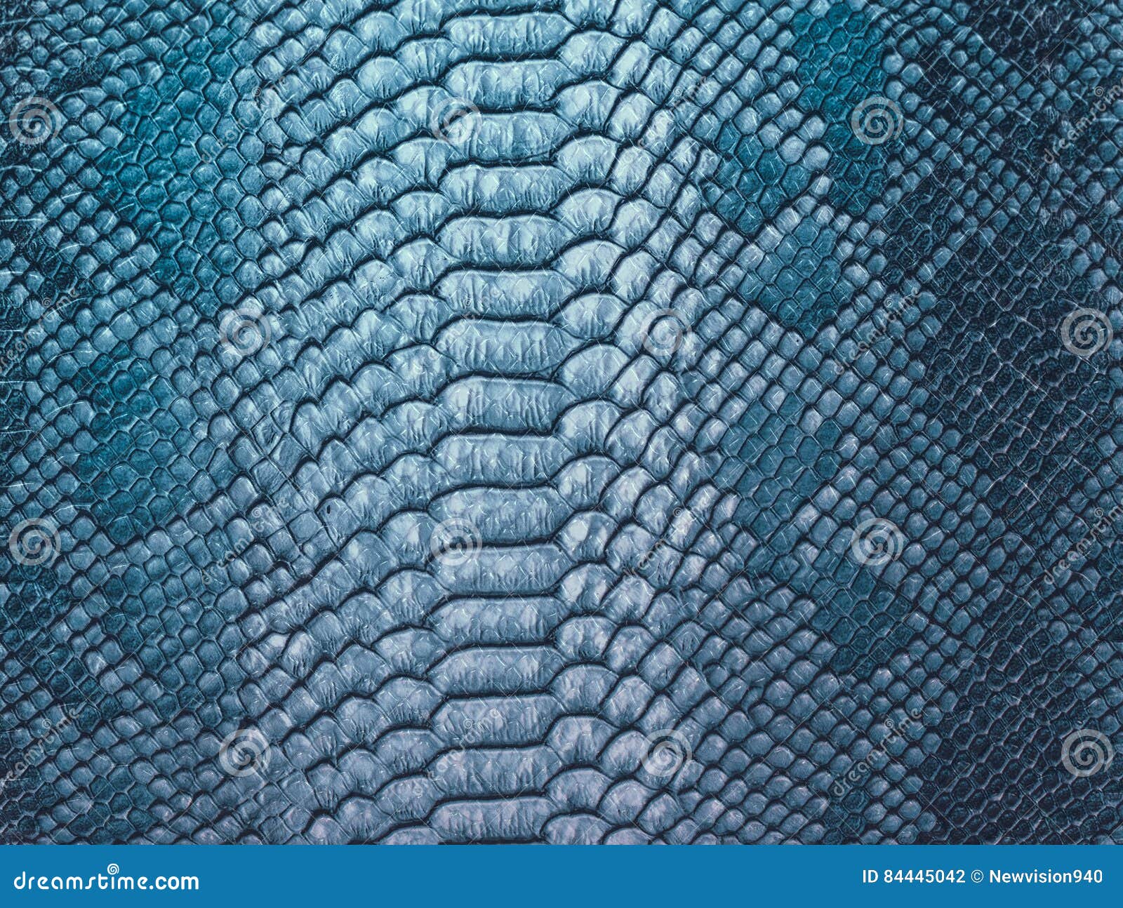 Snake skin background. stock photo. Image of luxury, abstract - 84445042