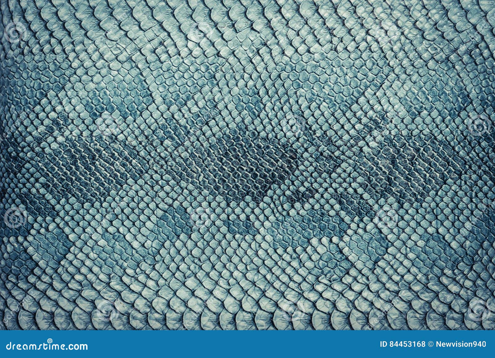 Snake skin background. stock photo. Image of abstract - 84453168