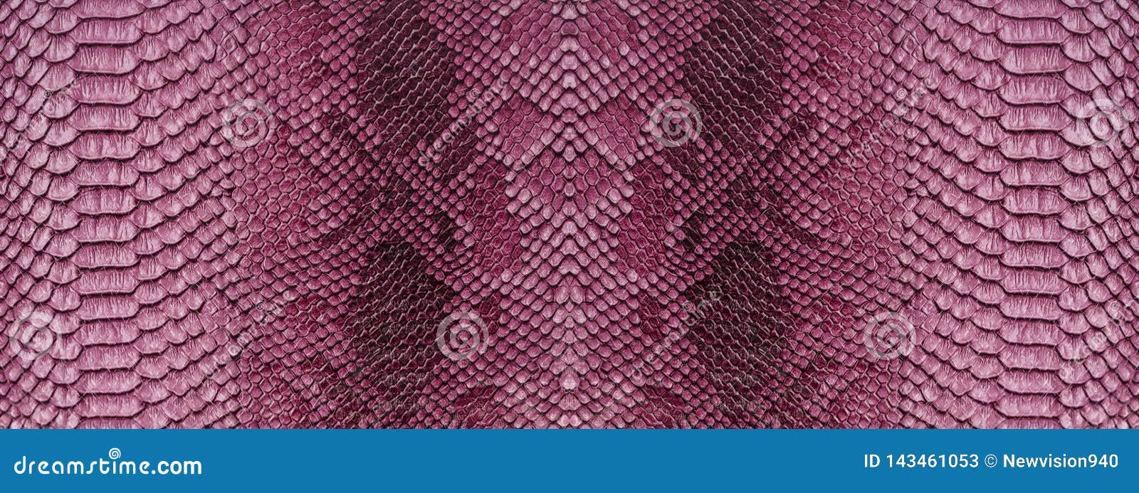 Snake Skin Background. Panoramic Web Banner with Copy Space. Stock ...