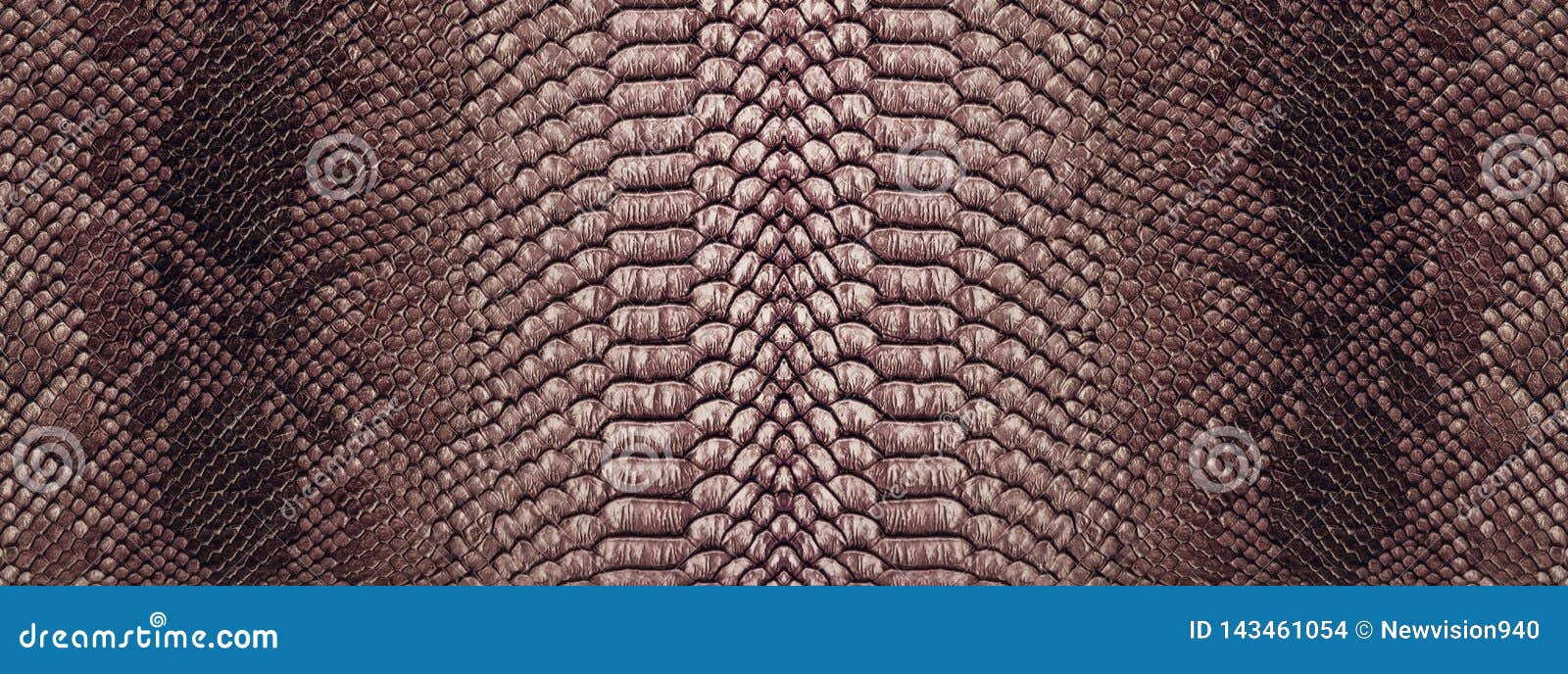 1,088 Snake Banner Stock Photos - Free & Royalty-Free Stock Photos from ...