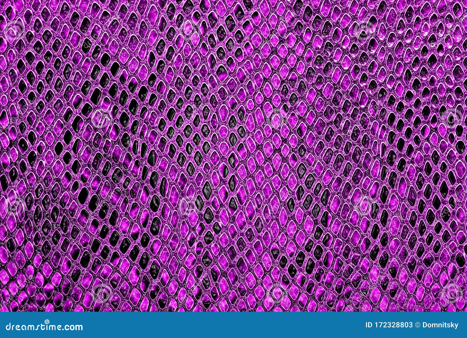 Snake skin background stock image. Image of poison, fashion - 172328803