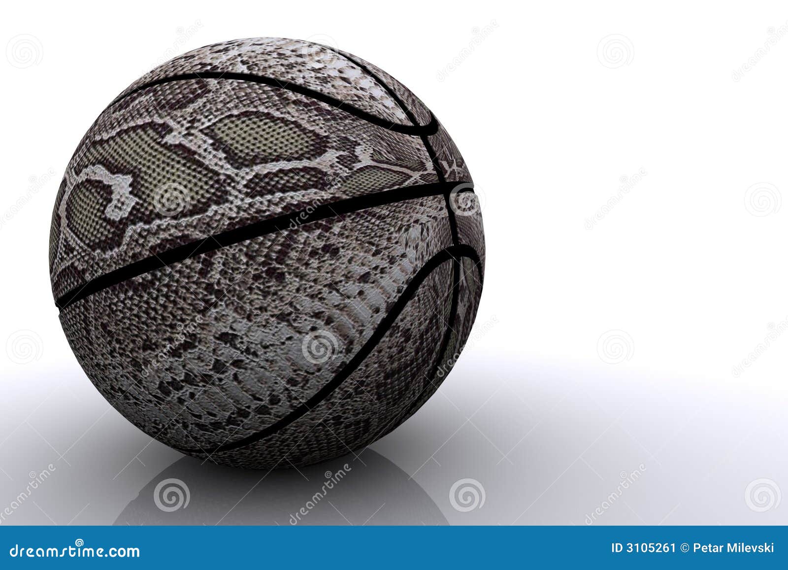Snake Skin Basketball Isolated Stock Image - Image of madness, sport ...