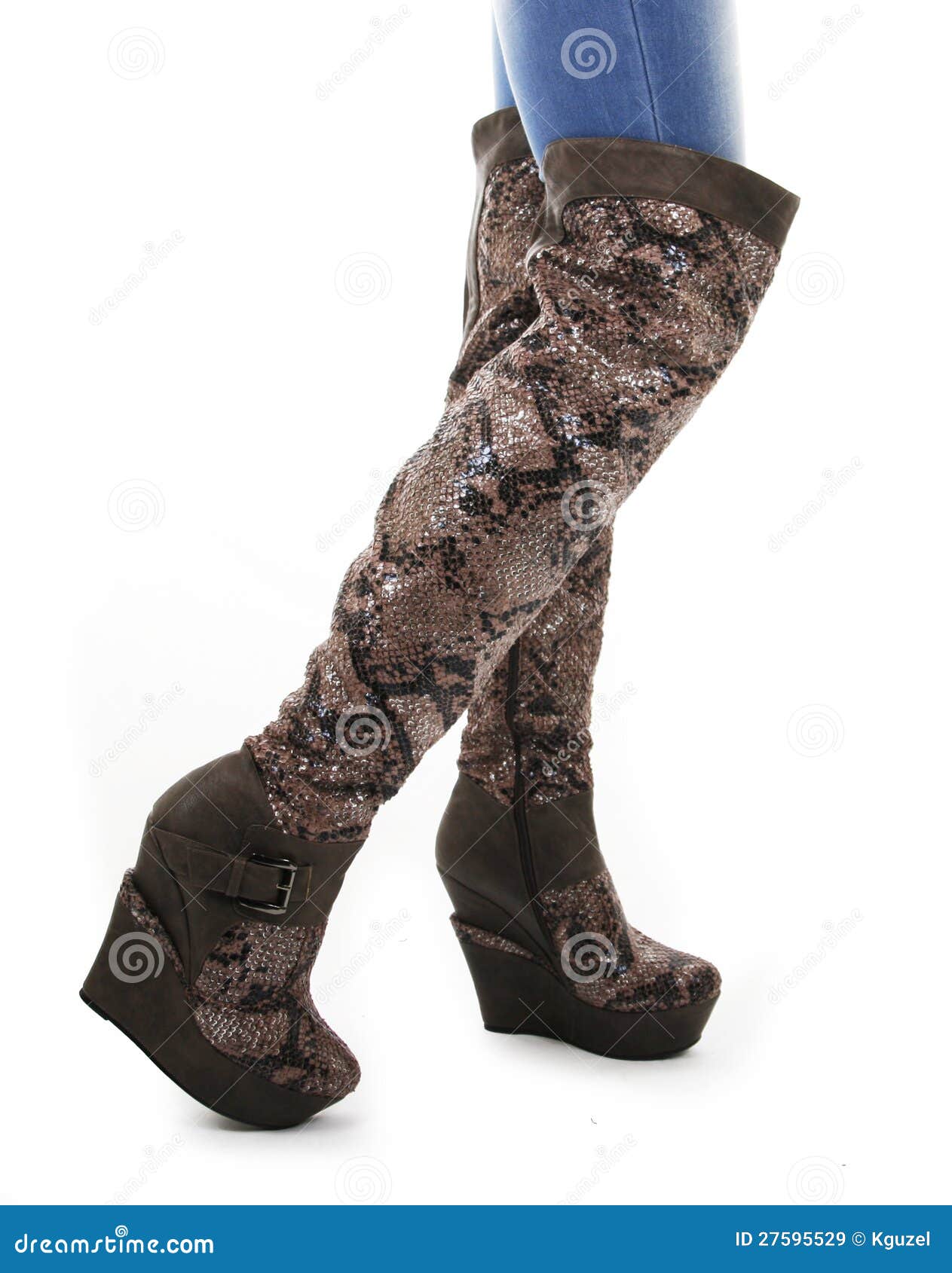 Snake With Legs And High Heels Sitting On A Stool Stock Photography ...