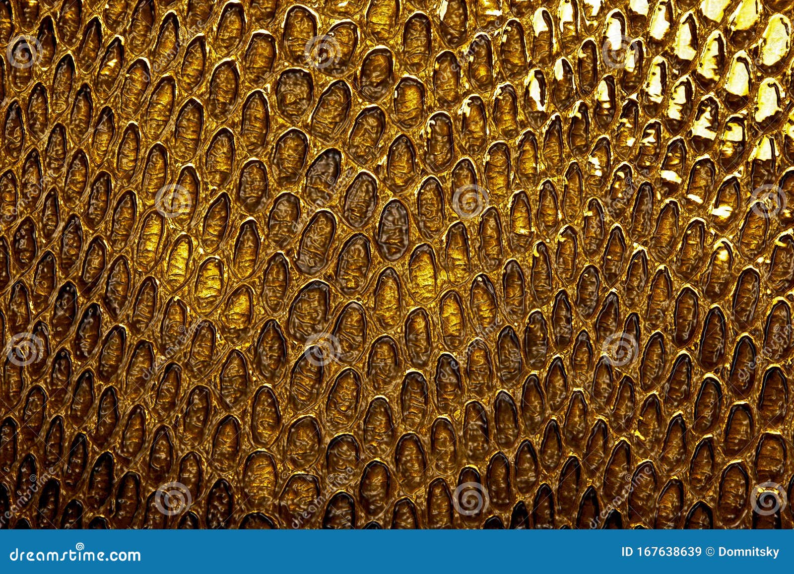 Snake Skin, Can Use As Background Stock Image - Image of reptile, brown ...