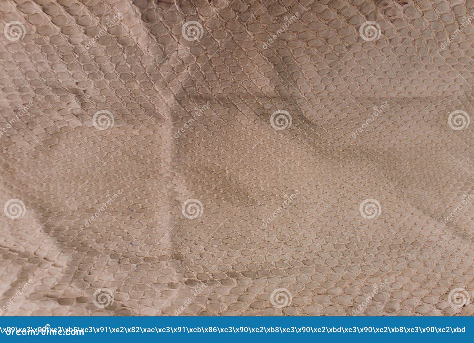 Snake Skin, Can Use As Background Pattern Leather. Stock Image - Image ...