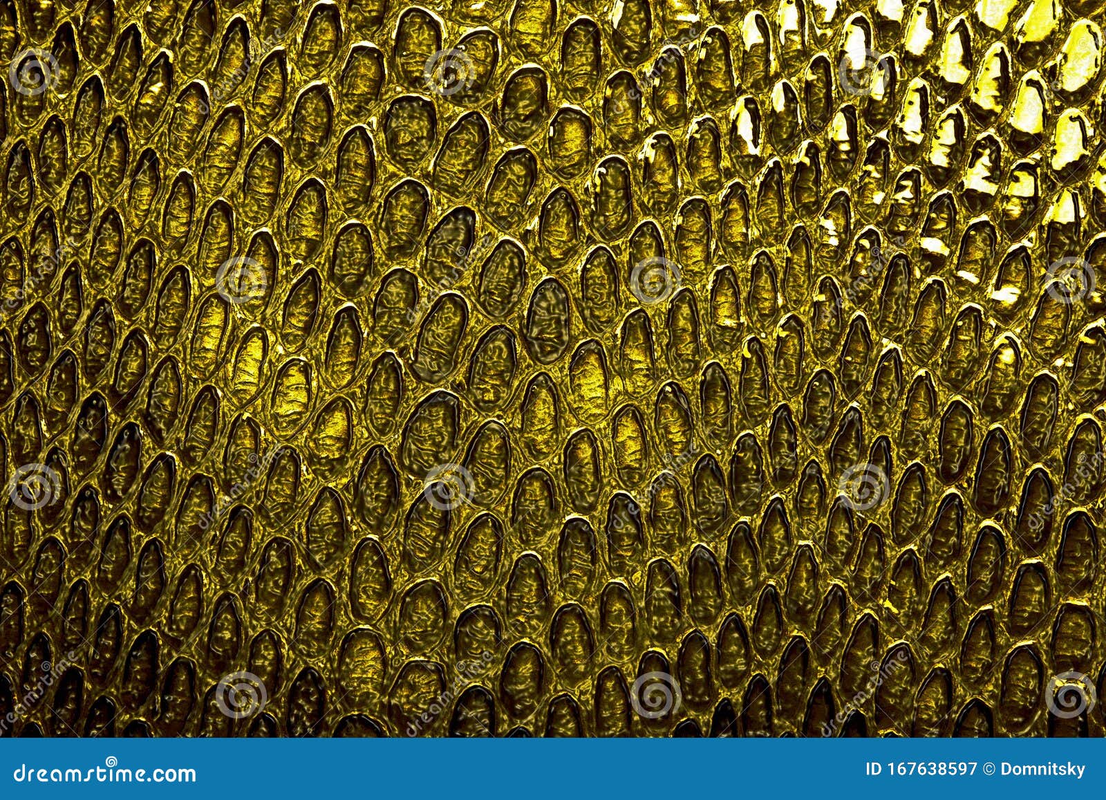 Snake Skin, Can Use As Background Stock Image - Image of hide, detail ...