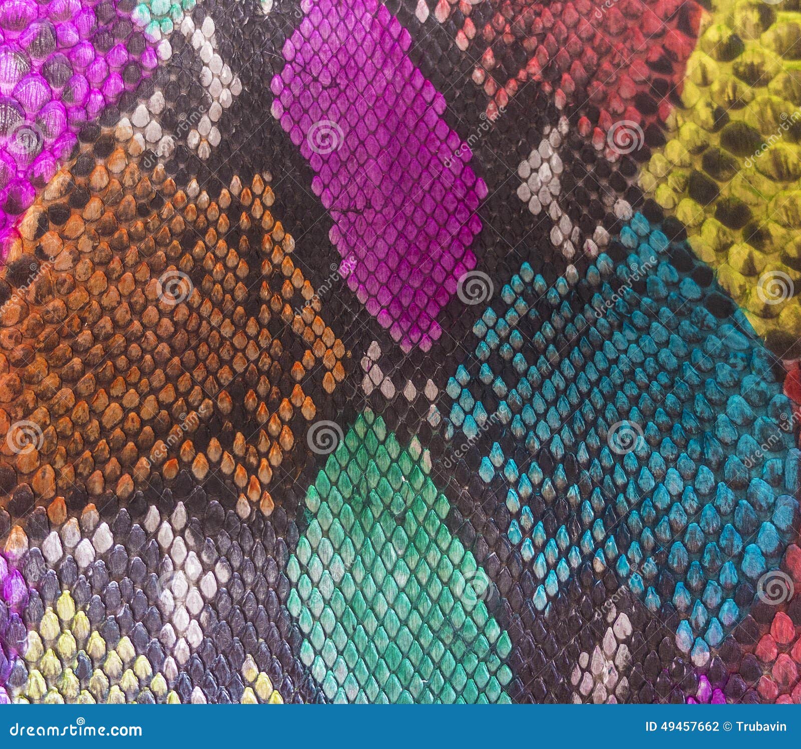 Snake skin stock photo. Image of cloth, serpent, lozenge - 49457662