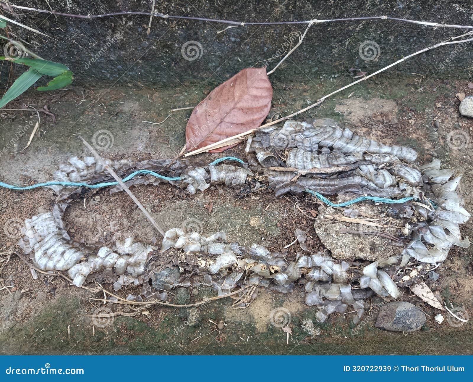 Snake Skin that Has Dried on Cast Cement Stock Image - Image of skin ...