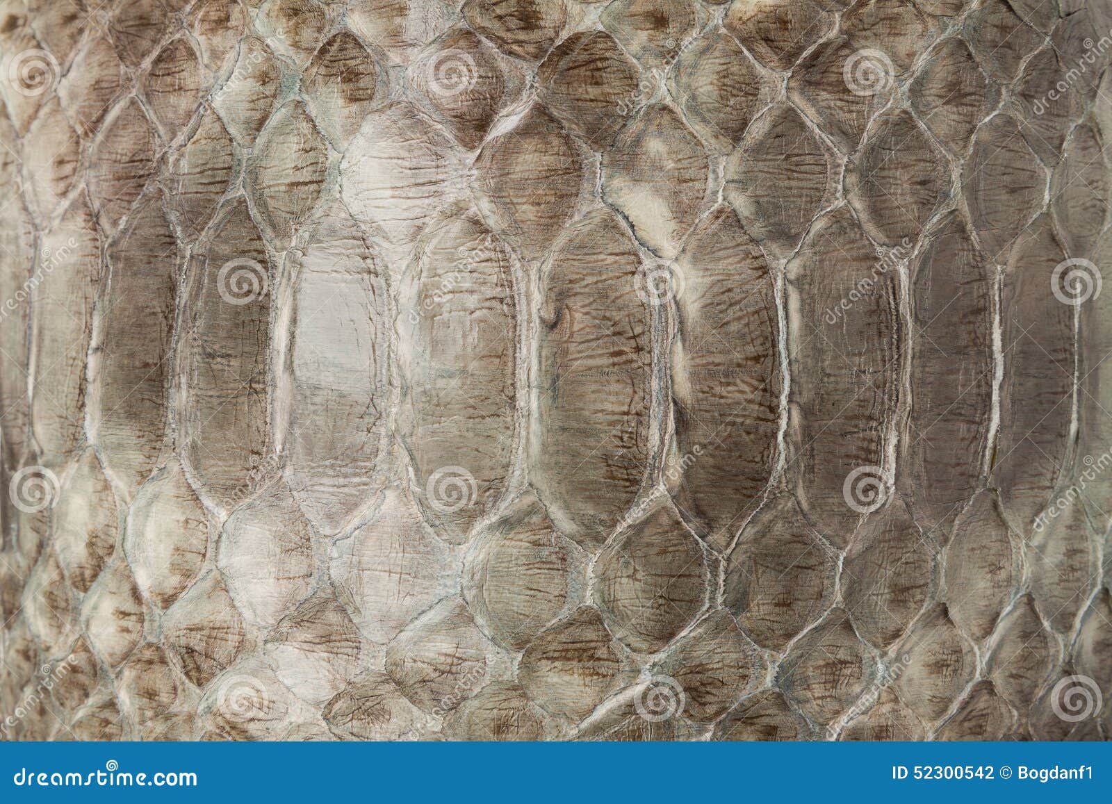 Snake skin leather texture stock photo. Image of abstract - 52300542