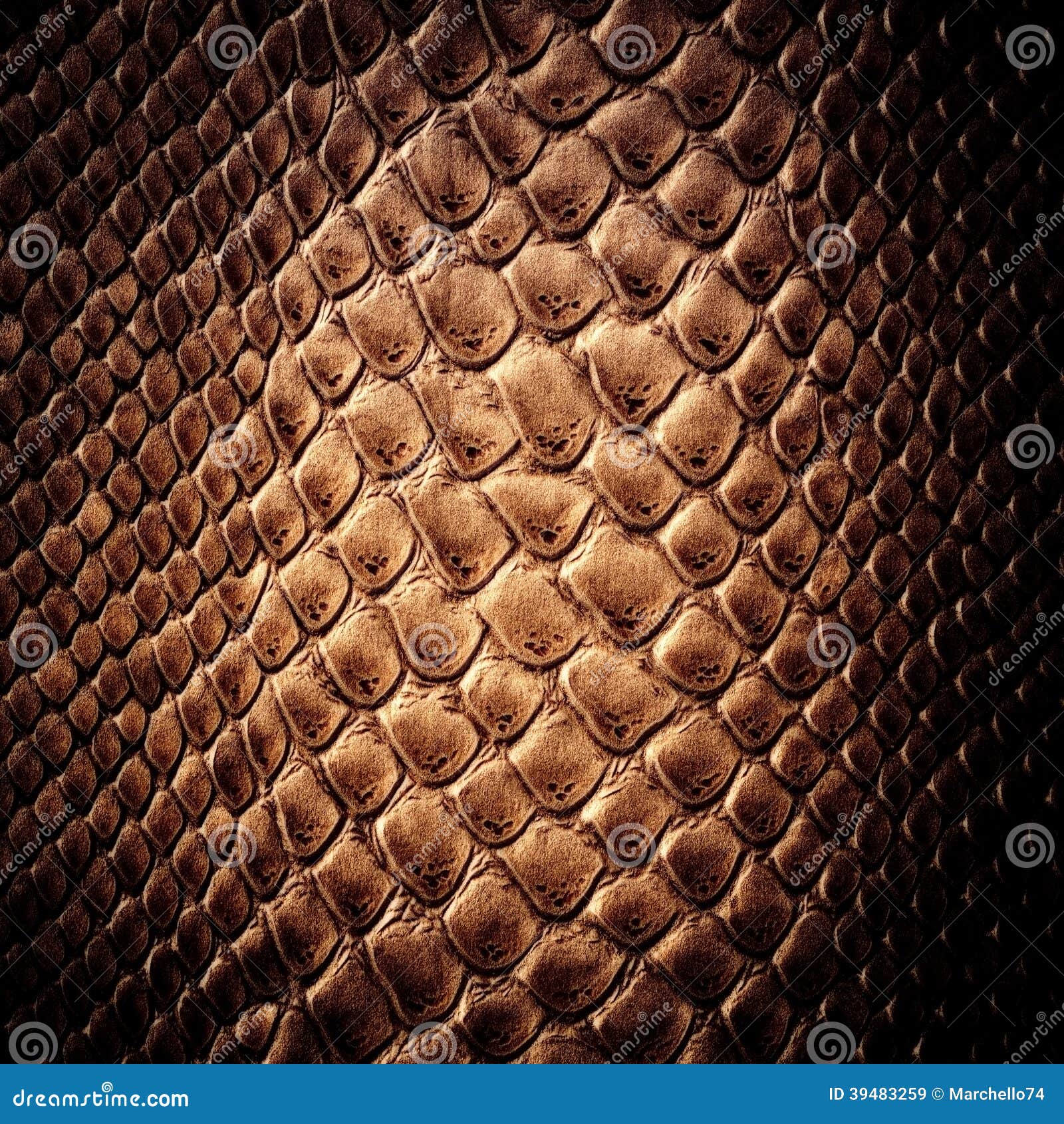 Snake skin leather texture stock image. Image of imprinted - 39483259