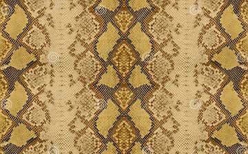 Snake Skin Pattern Design, Python Pattern, Piton Texture, Snake Skin ...