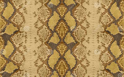 Snake Skin Pattern Design, Python Pattern, Piton Texture, Snake Skin ...