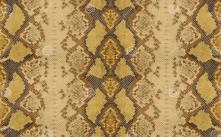 Snake Skin Pattern Design, Python Pattern, Piton Texture, Snake Skin ...