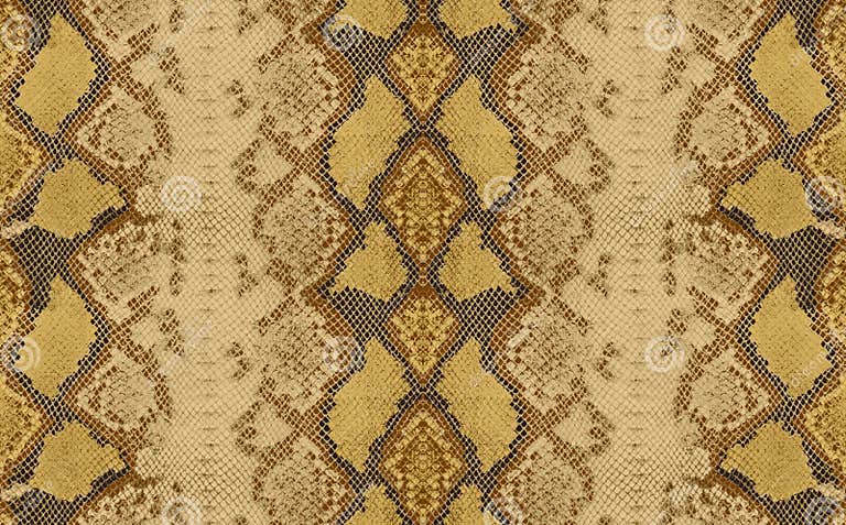 Snake Skin Pattern Design, Python Pattern, Piton Texture, Snake Skin ...