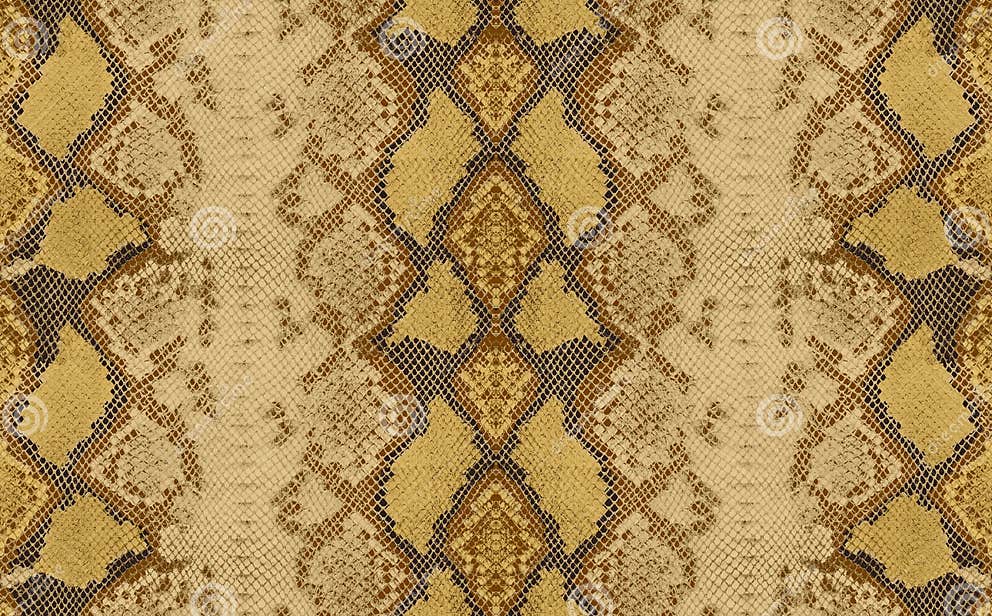 Snake Skin Pattern Design, Python Pattern, Piton Texture, Snake Skin ...